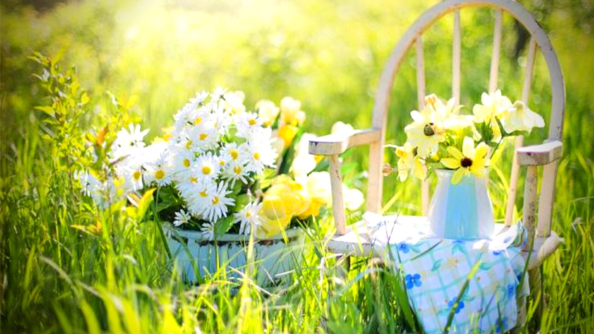 Care Sunt Temperaturile Normale Pentru Luna Aprilie. Ce Spun ...