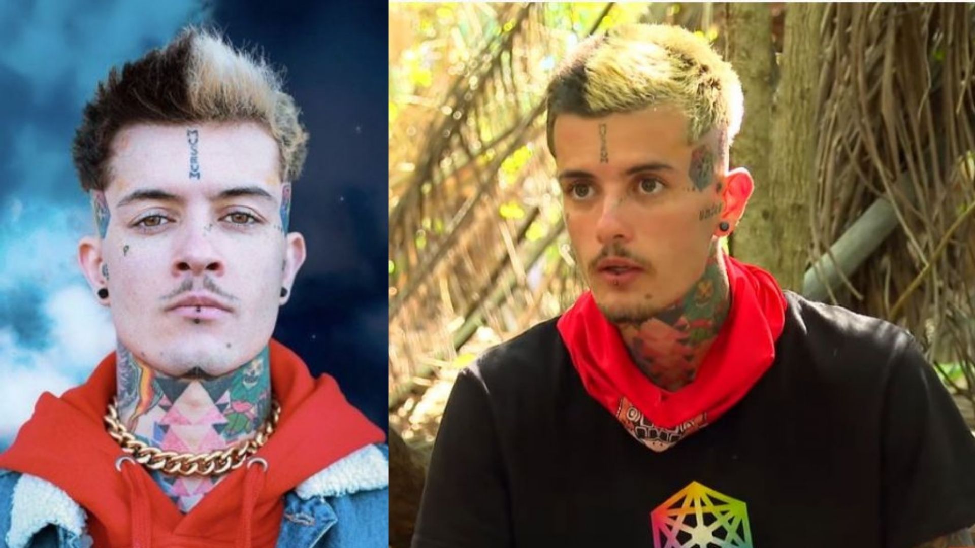 Ce Tarif Are Acum Zanni. După Ce A Câștigat Survivor România, Prețul A ...