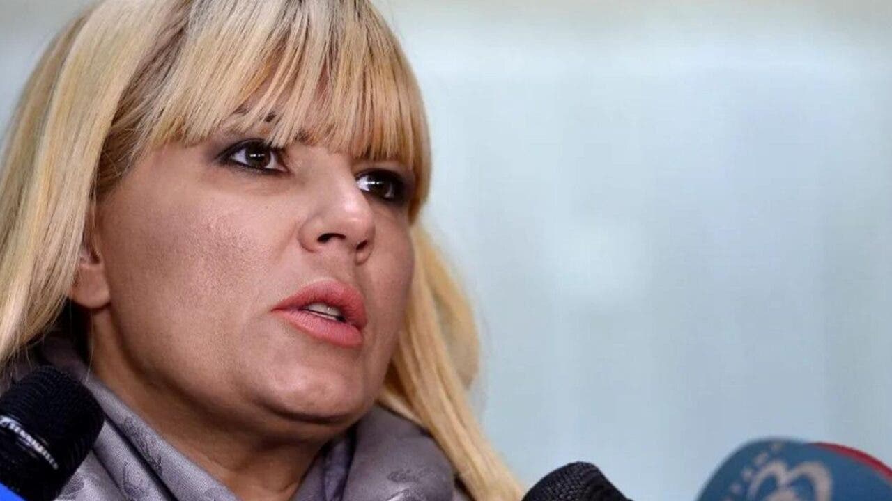 Elena Udrea Face O Ultimă încercare De A Scăpa De Condamnarea în Dosarul Gala Bute. Despre Ce ...