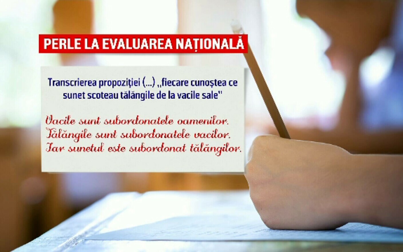 Cele Mai Tari Perle și Gafe De La Evaluarea Națională 2023. Cum S-au ...