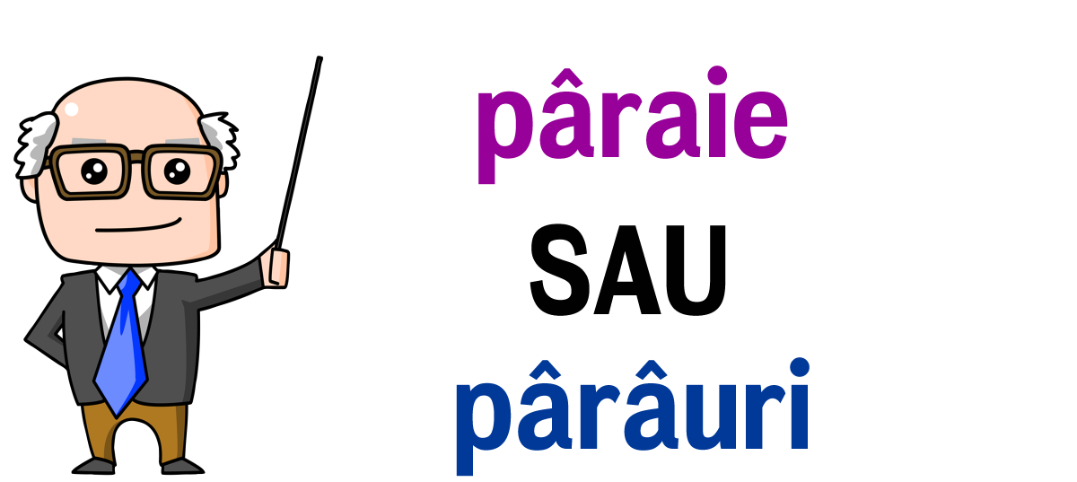 Care Este Pluralul Cuvântului „pârâu”. Greșeala Pe Care Mulți Români O ...