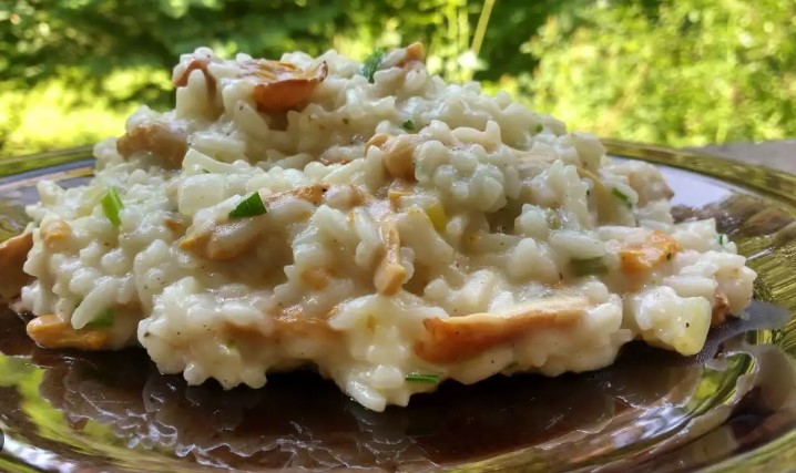 Gălbiori Rețete. Top 3 Preparate Delicioase Pe Bază De Gălbiori