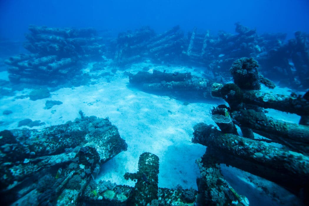 Sunete Misterioase Venite Din Adâncurile Oceanului Pacific