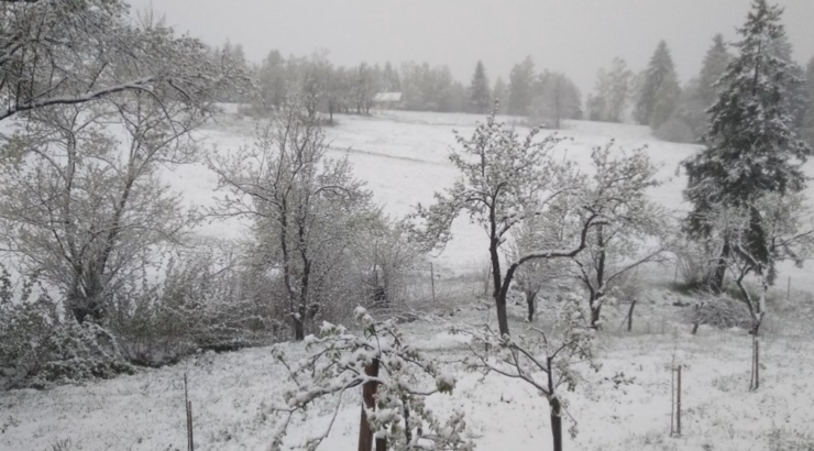 Lucrările Esențiale Din Grădină în Luna Ianuarie. Trucul Simplu Care îi ...