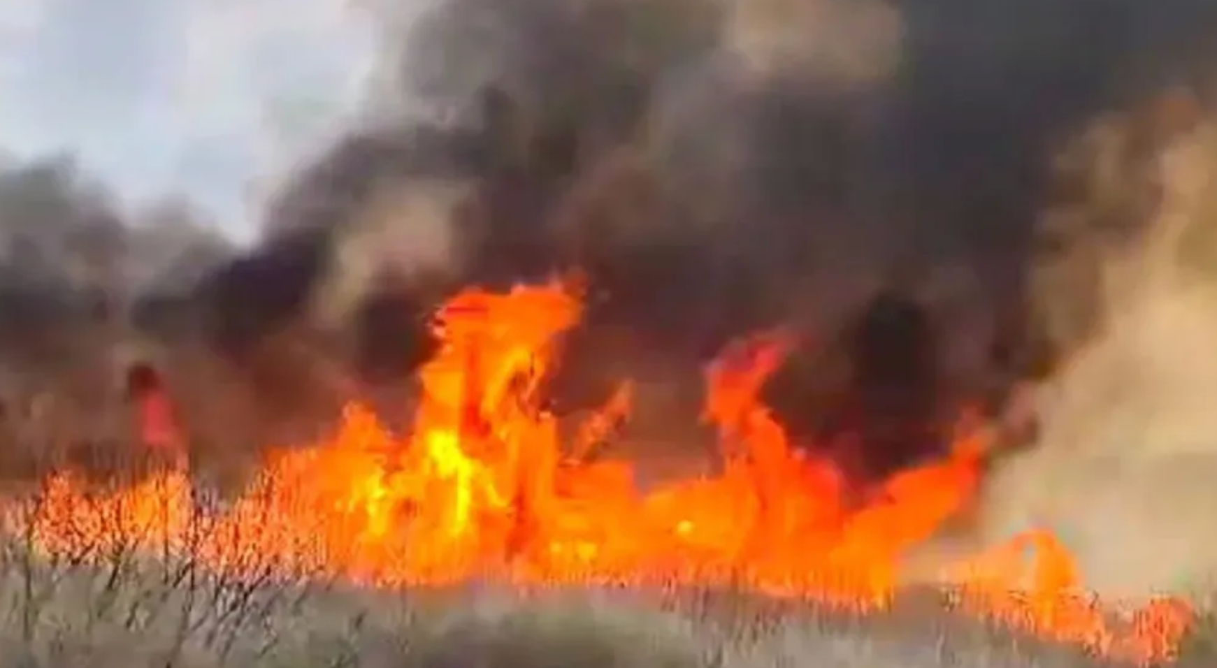 Incendiu Uriaș De Vegetație Lângă București