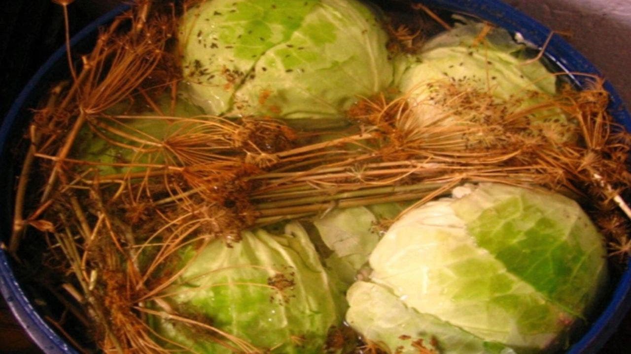 Ce Trebuie Să Adaugi La Varza Murată Să Se Mențină Zeama Limpede ...